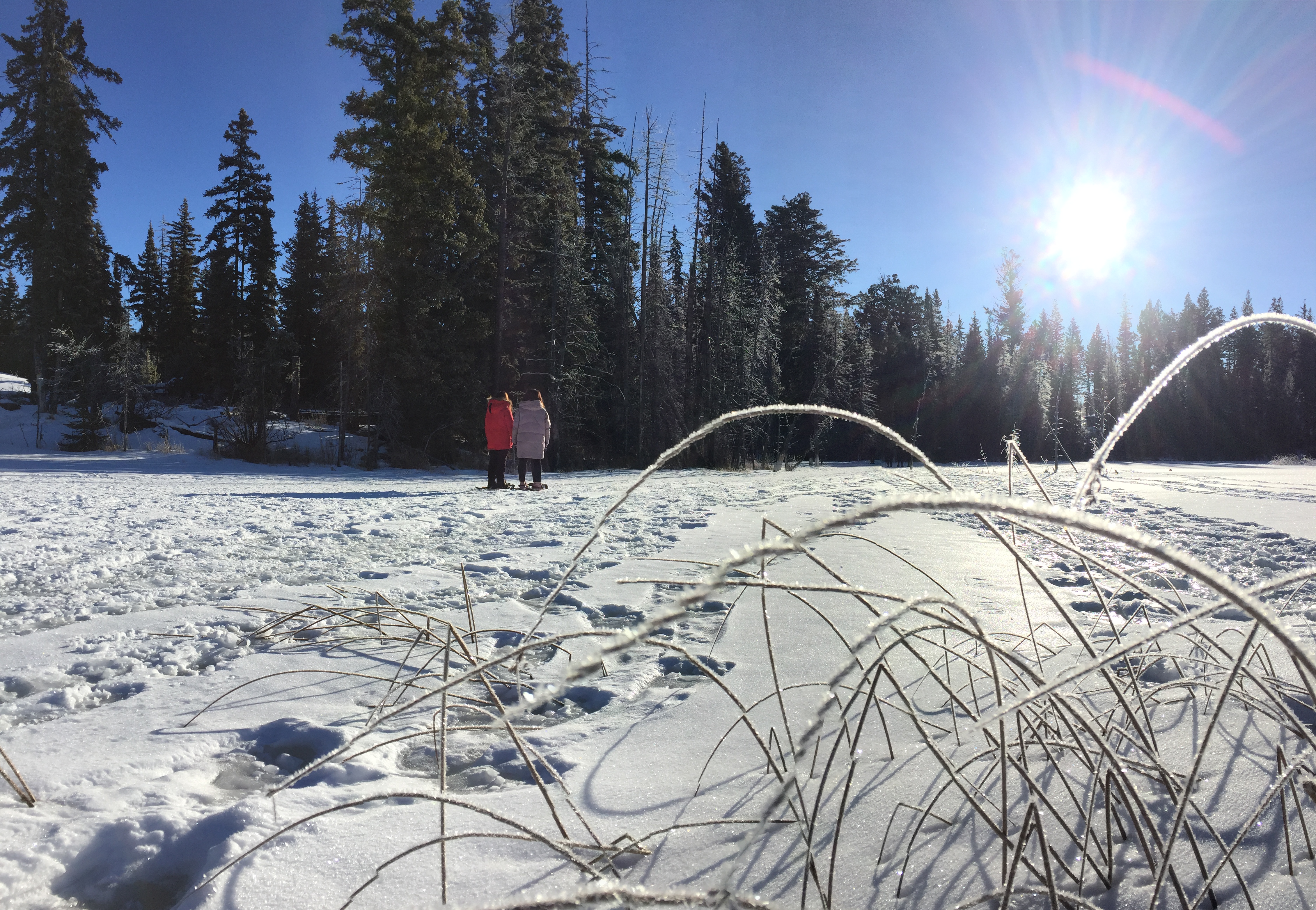 Stake Lake Nordic Ski Trails Jan. 14, 2019